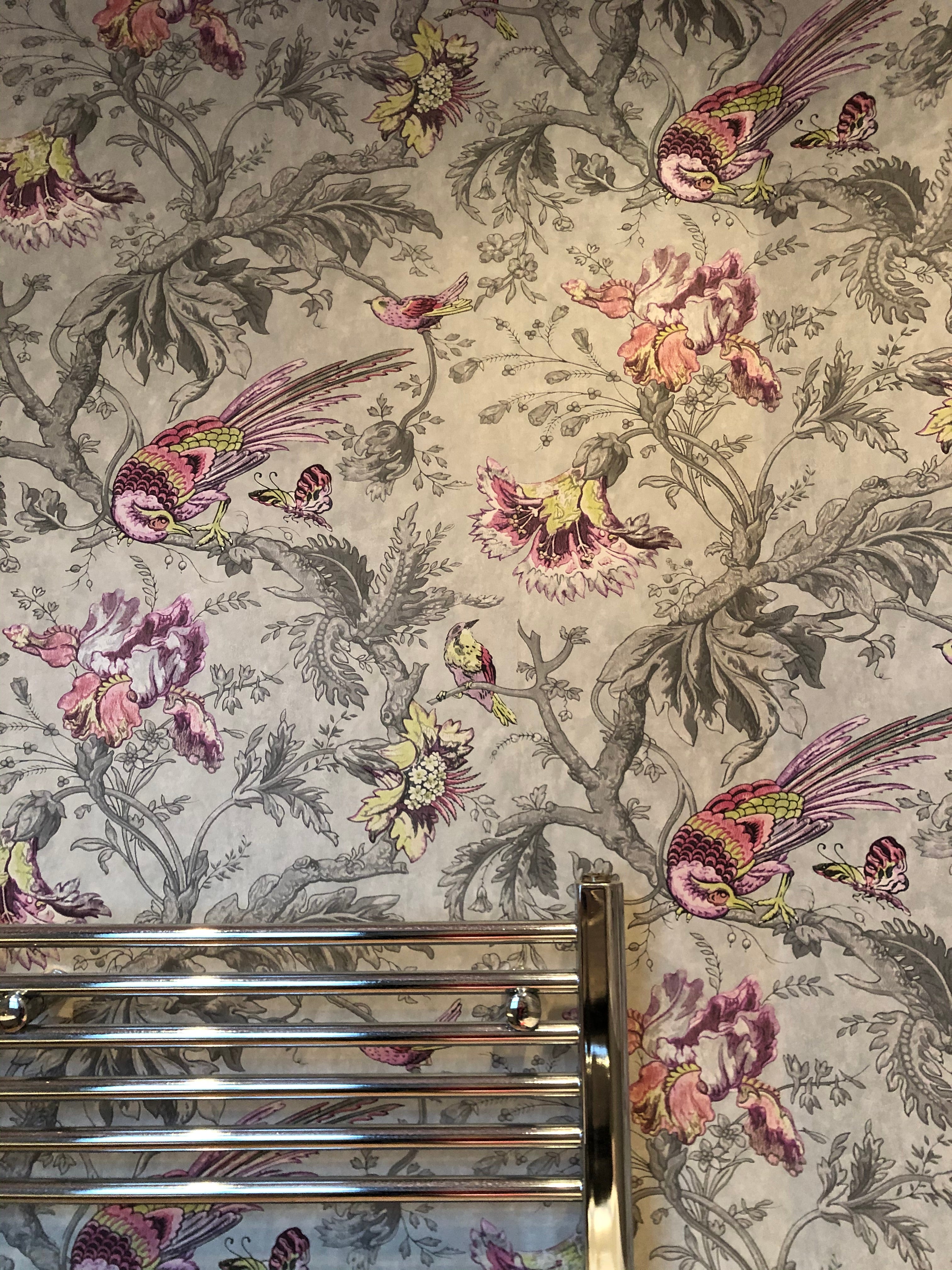 Bird Wallpapers – Studio Ward